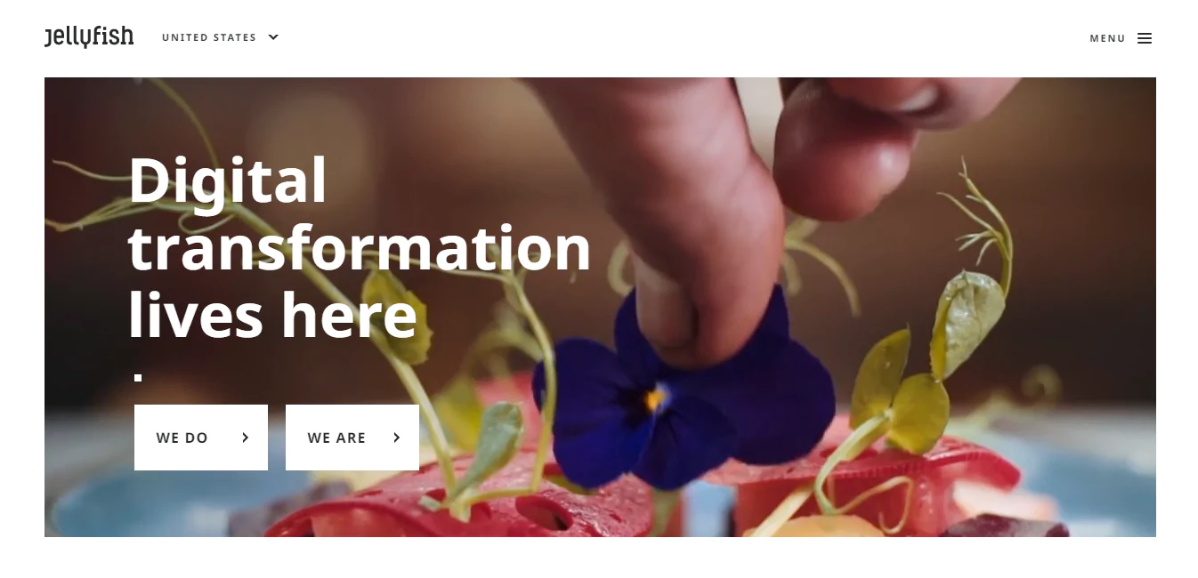 Jellyfish - Full Review, Clients & Specialities [Updated]